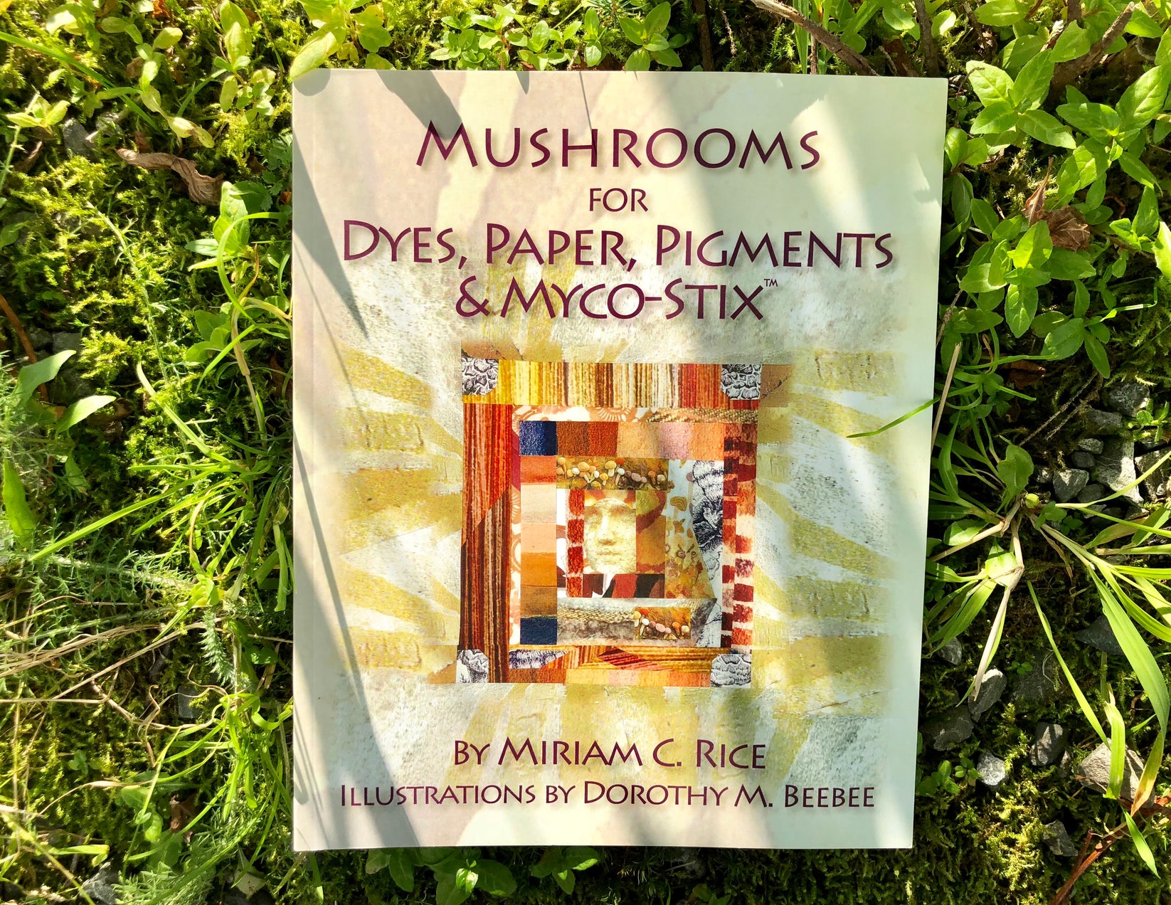 Mushrooms for Dyes, Paper, Pigments & Myco-Stix by Miriam C. Rice – The ...